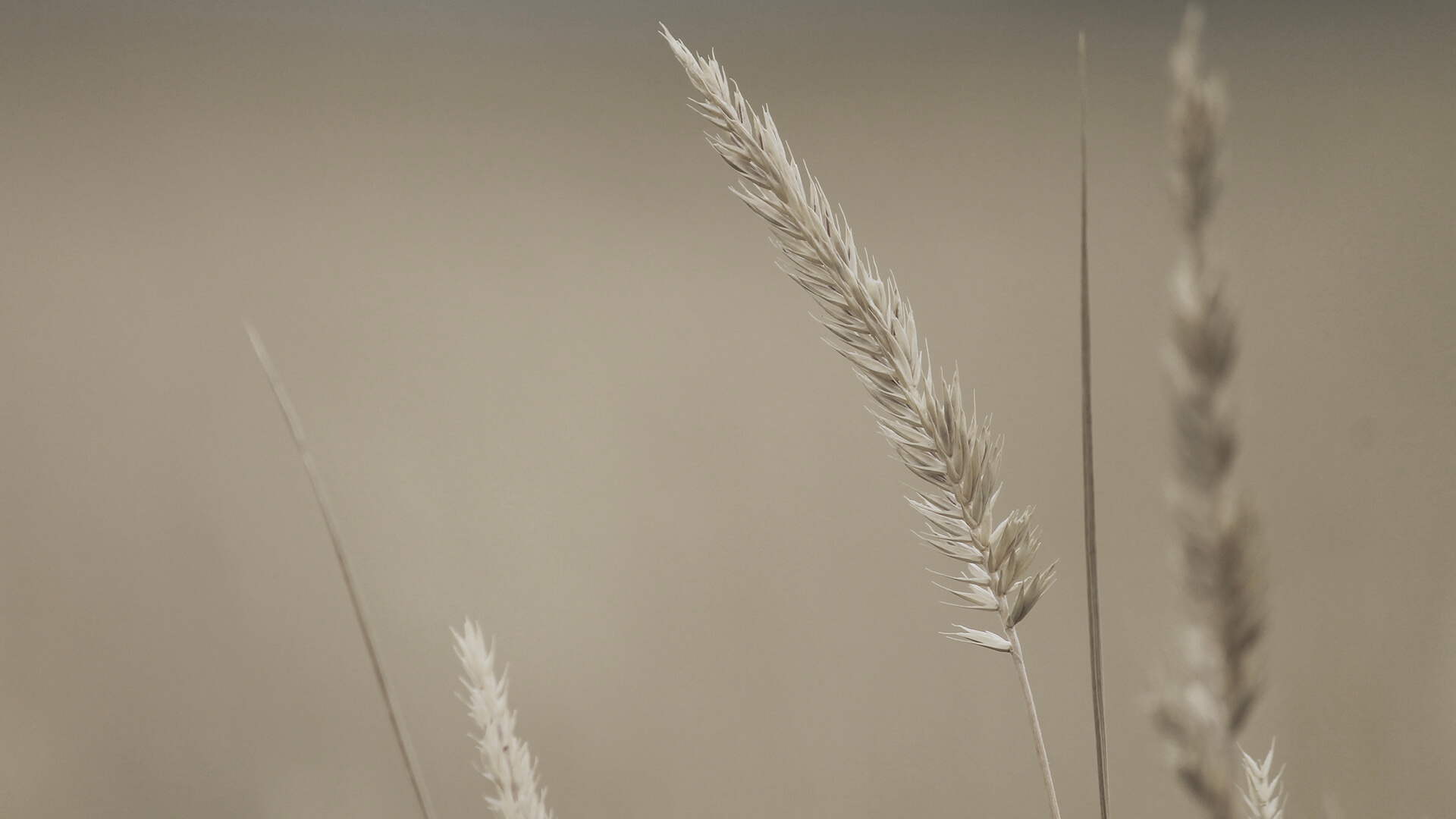 Ep Sand - Hanex Solid Surfaces