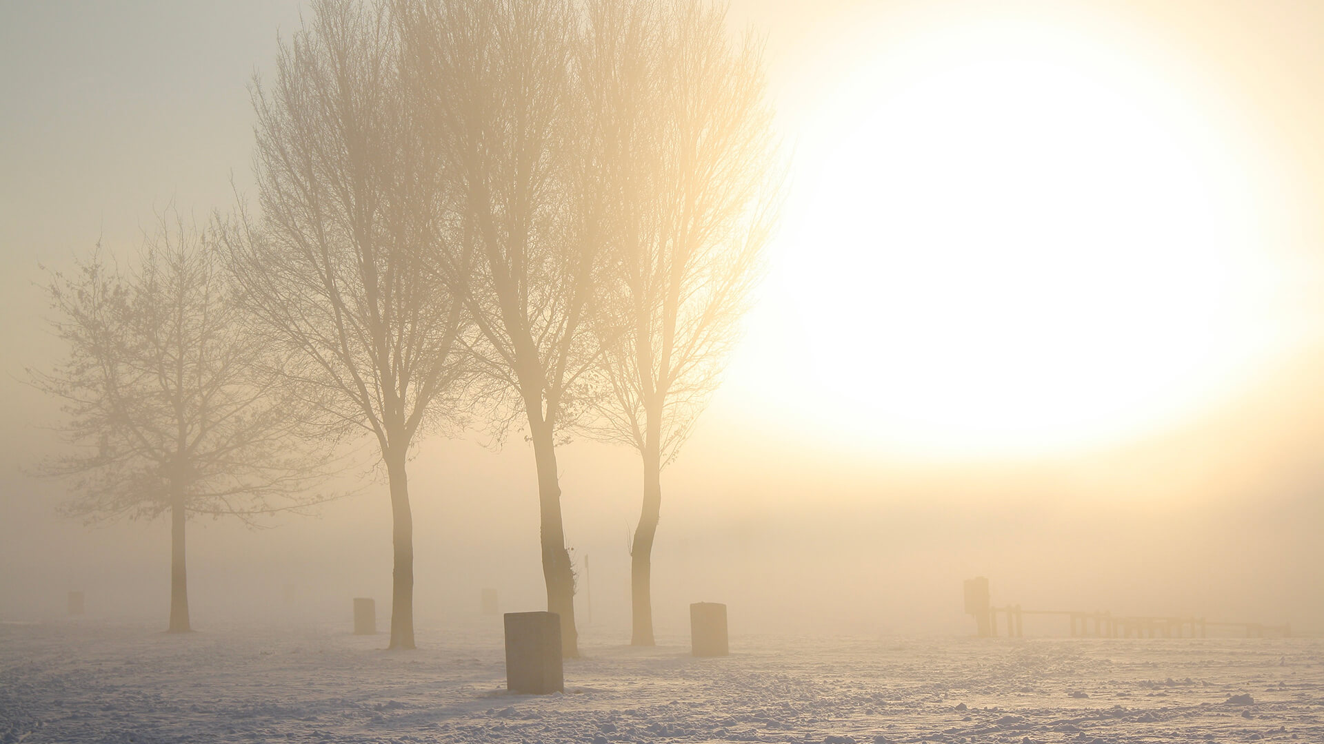 Ivory - Hanex Solid Surfaces